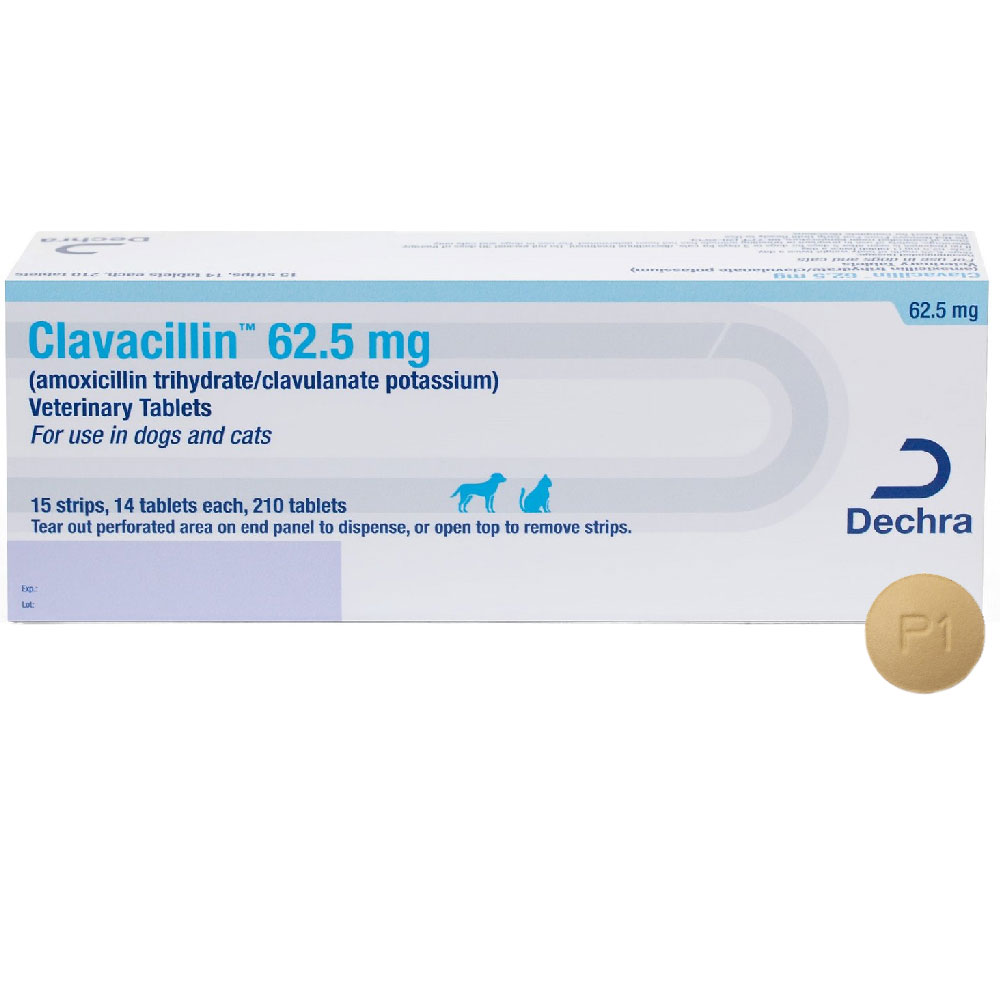 Clavacillin Veterinary Tablets 62.5 mg (210 Count) | On Sale | EP Rx