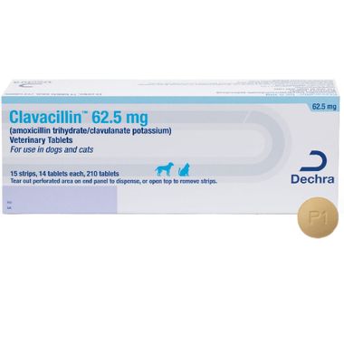 Clavacillin Veterinary Tablets 62.5 mg (210 Count) | On Sale | EP Rx