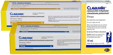 Clavamox Tablets for Dogs | Free Shipping* | EntirelyPets Rx