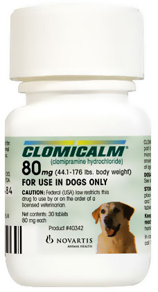Clomicalm for Dogs | Free Shipping* | EntirelyPets Rx