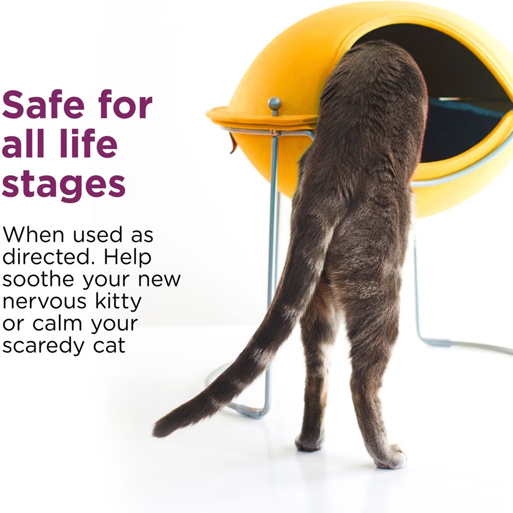 Comfort Zone Spray & Scratch Control Spray For Cats & Kittens, 2-oz ...