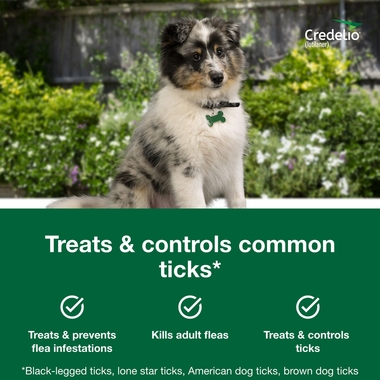 Credelio for Dogs 6.1-12 lbs.|Tick & Flea Infestation Prevention and ...