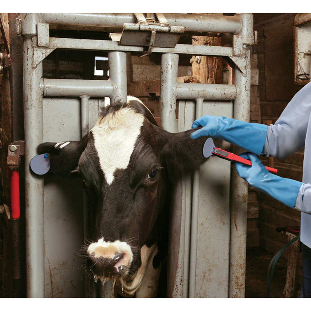 Cylence Ultra Insecticide Cattle Ear Tag, 20-count | On Sale ...