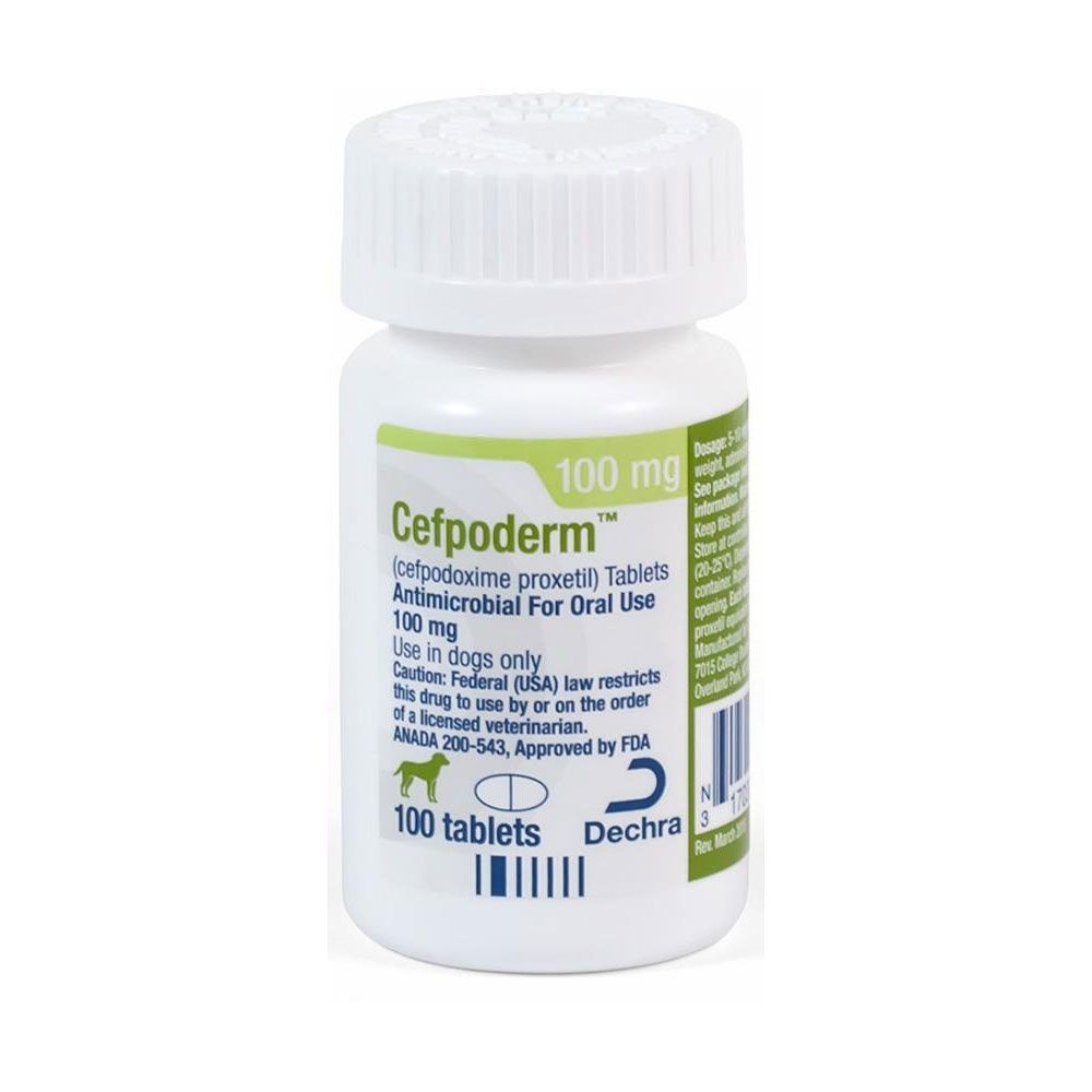 Dechra Cefpoderm Antimicrobial Tablets | On Sale | EntirelyPets Rx