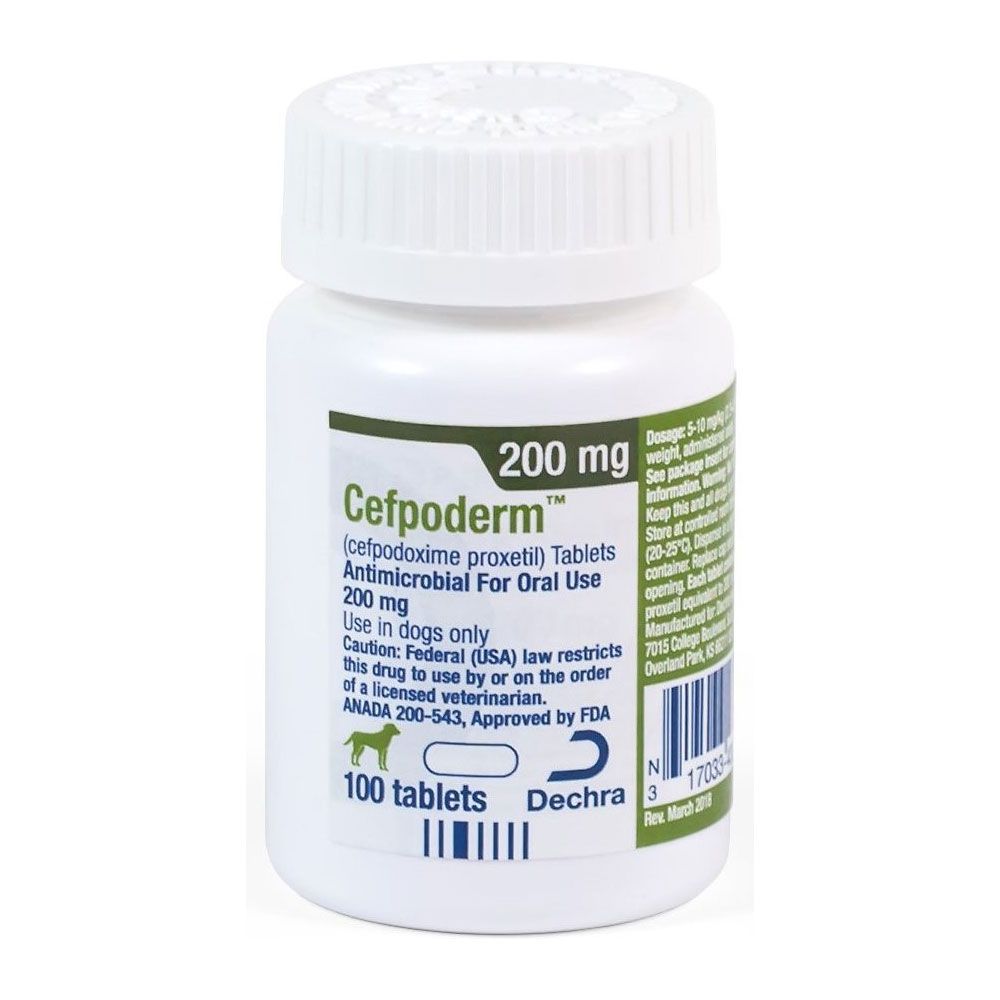 Dechra Cefpoderm (Cefpodoxime Proxetil) Antimicrobial Tablets for Dogs ...