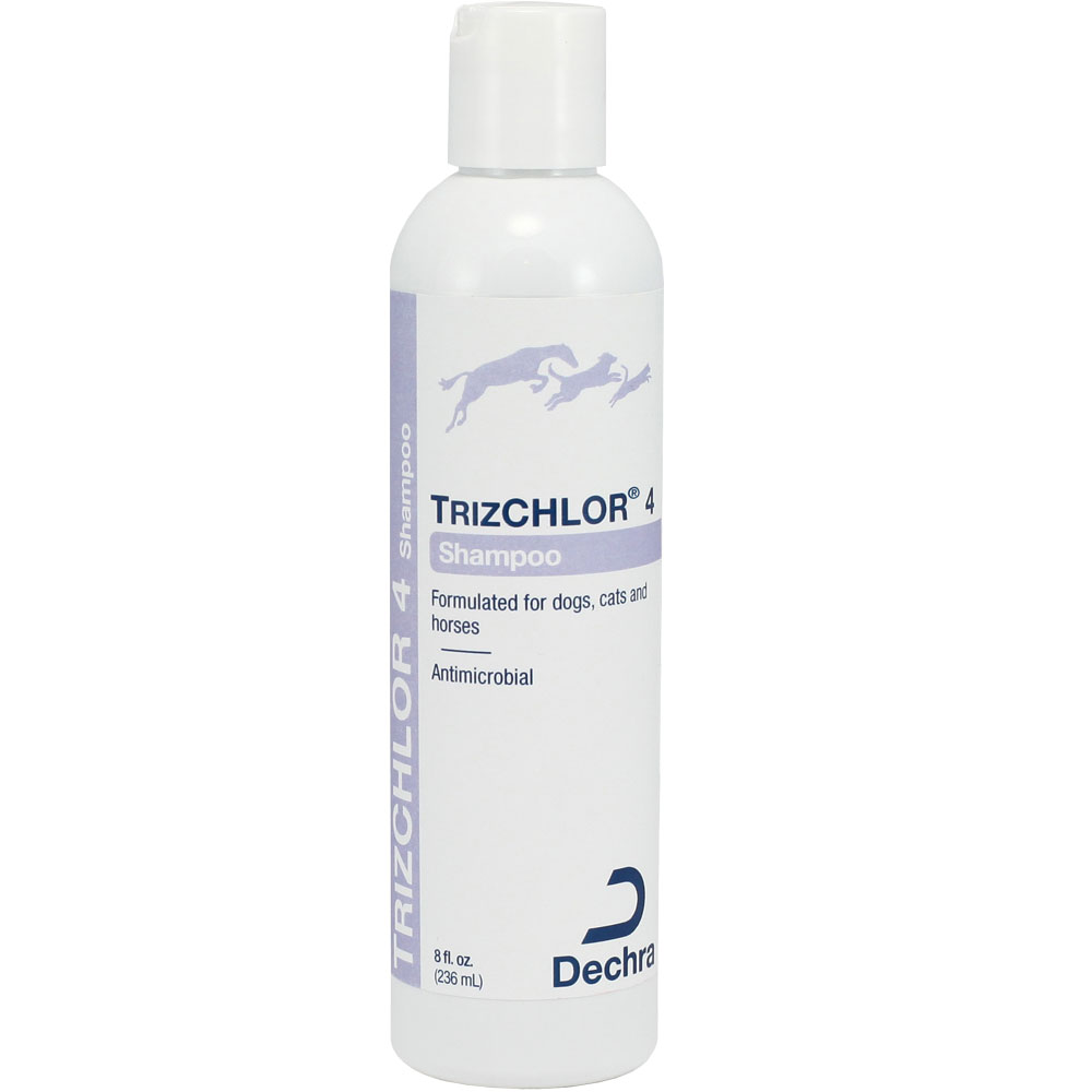 Dechra TrizCHLOR 4 Shampoo (8 oz) | On Sale | EntirelyPets Rx