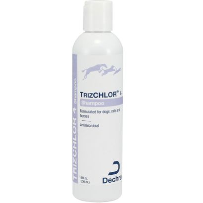 Dechra TrizCHLOR 4 Shampoo (8 oz) | On Sale | EntirelyPets Rx
