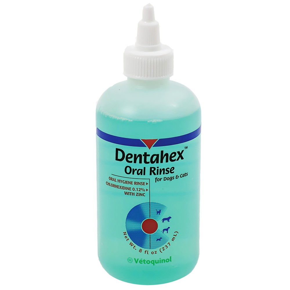 Dentahex Oral Rinse by Vet Solutions (8 oz) | On Sale | EntirelyPets Rx