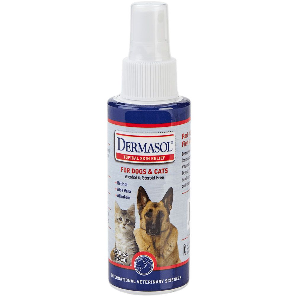 Dermasol Skin Care Spray for Cats & Dogs (4.3 oz) | On Sale ...