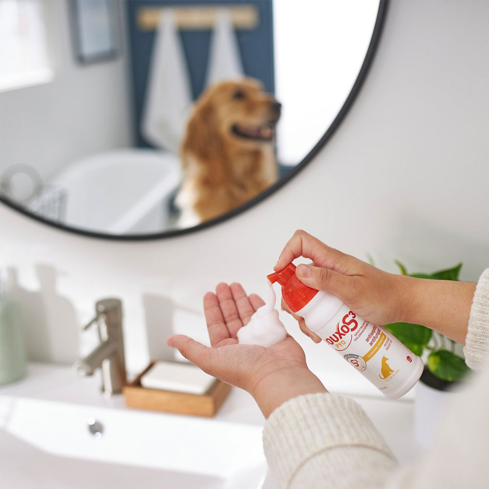 DOUXO S3 PYO Mousse (5.1 oz) | On Sale | EntirelyPets Rx