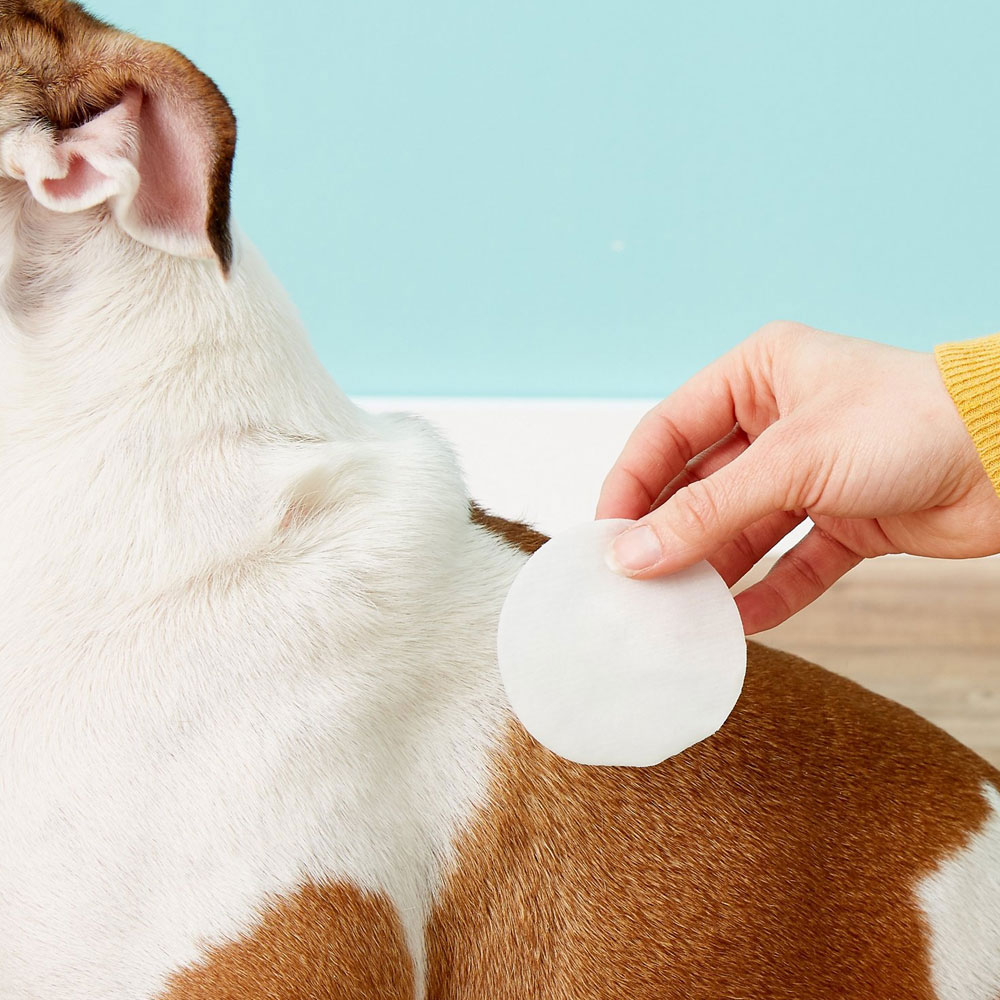 DOUXO S3 PYO Wipes (30 count) | On Sale | EntirelyPets Rx
