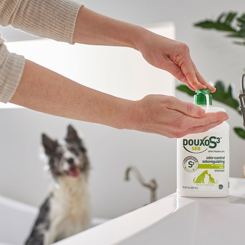 DOUXO S3 SEB Shampoo (16.9 oz) | On Sale | EntirelyPets Rx