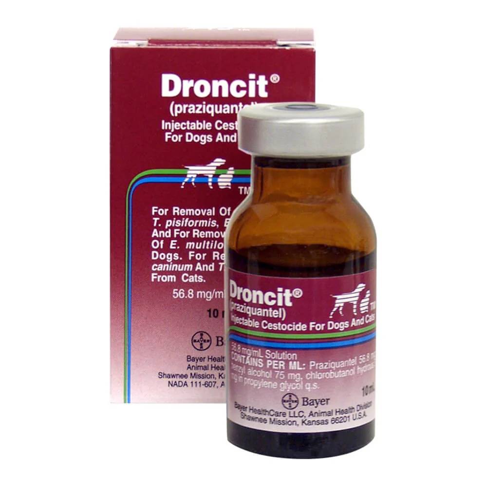 Droncit (praziquantel) Injectable Cestocide for Dogs & Cats (10 mL ...