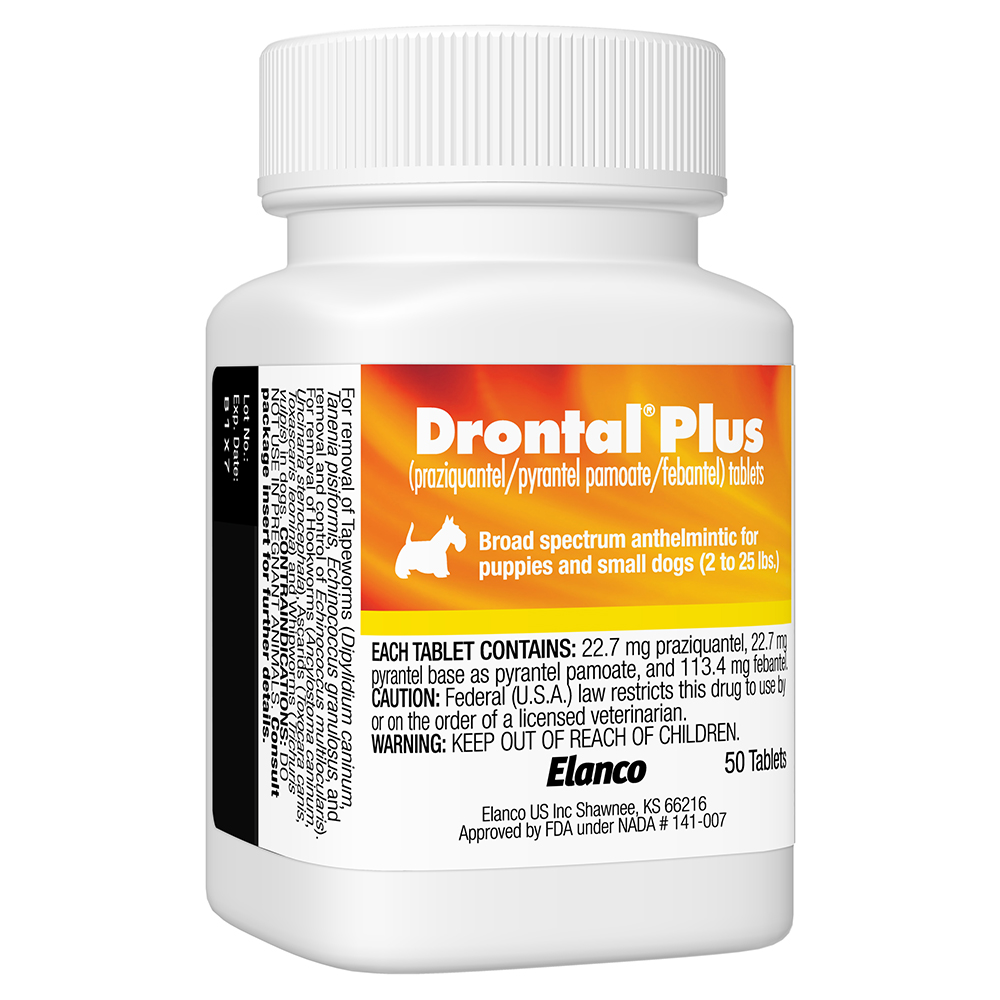 Drontal Plus for Small Dogs (50 Tablets) | Free Shipping | EP Rx