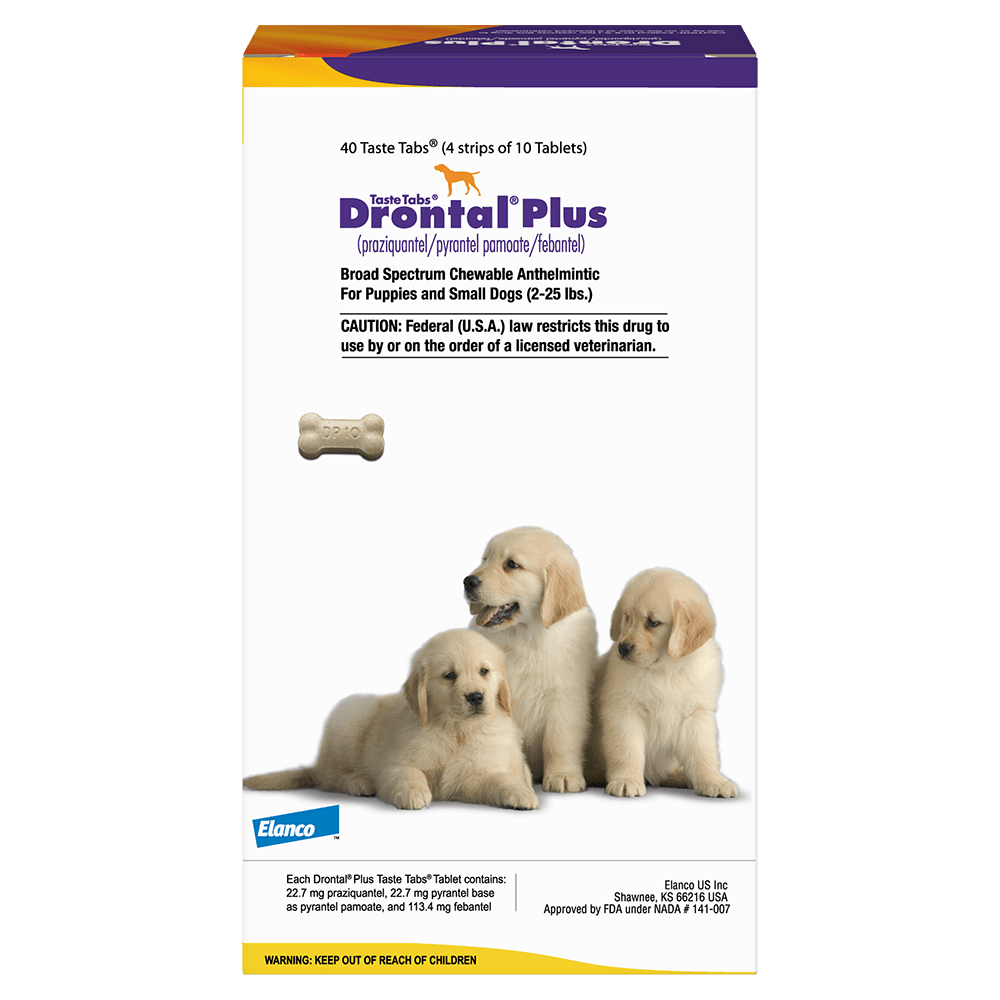 Drontal Plus for Small Dogs (50 Tablets) | Free Shipping | EP Rx