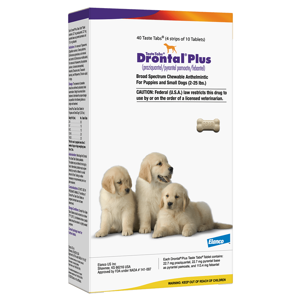 Drontal Plus for Small Dogs (50 Tablets) | Free Shipping | EP Rx