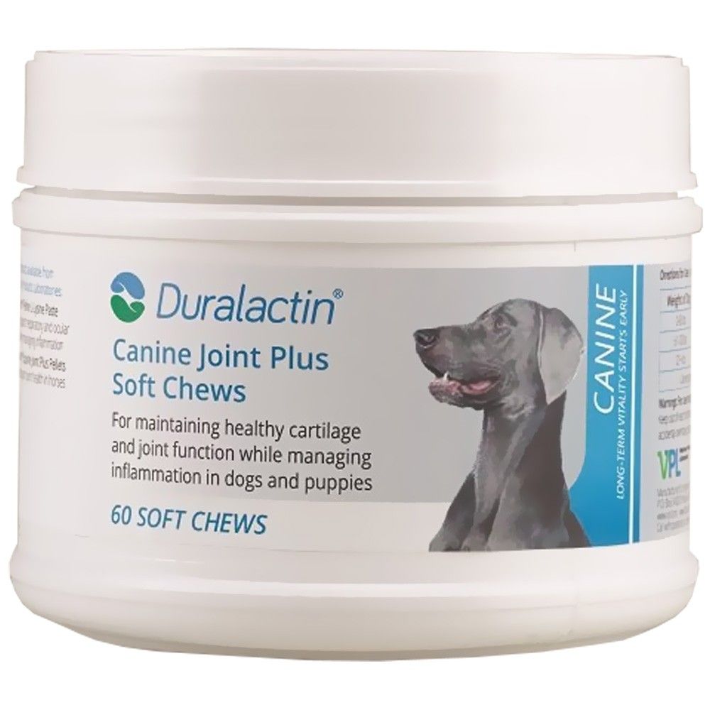 Duralactin Canine Joint Plus Soft Chews (60 count) | On Sale ...