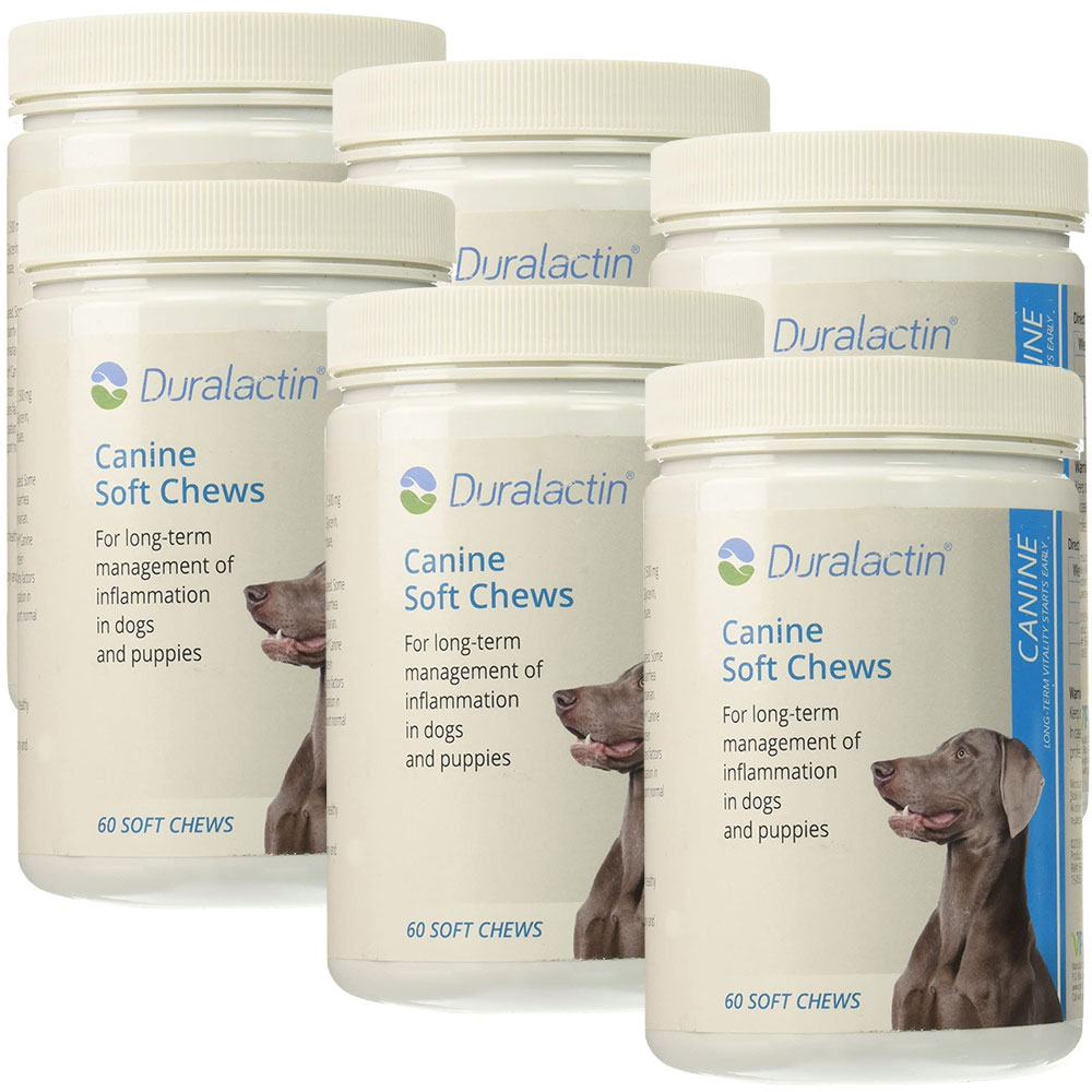 Duralactin Canine Soft Chews (360 count) | On Sale | EntirelyPets Rx