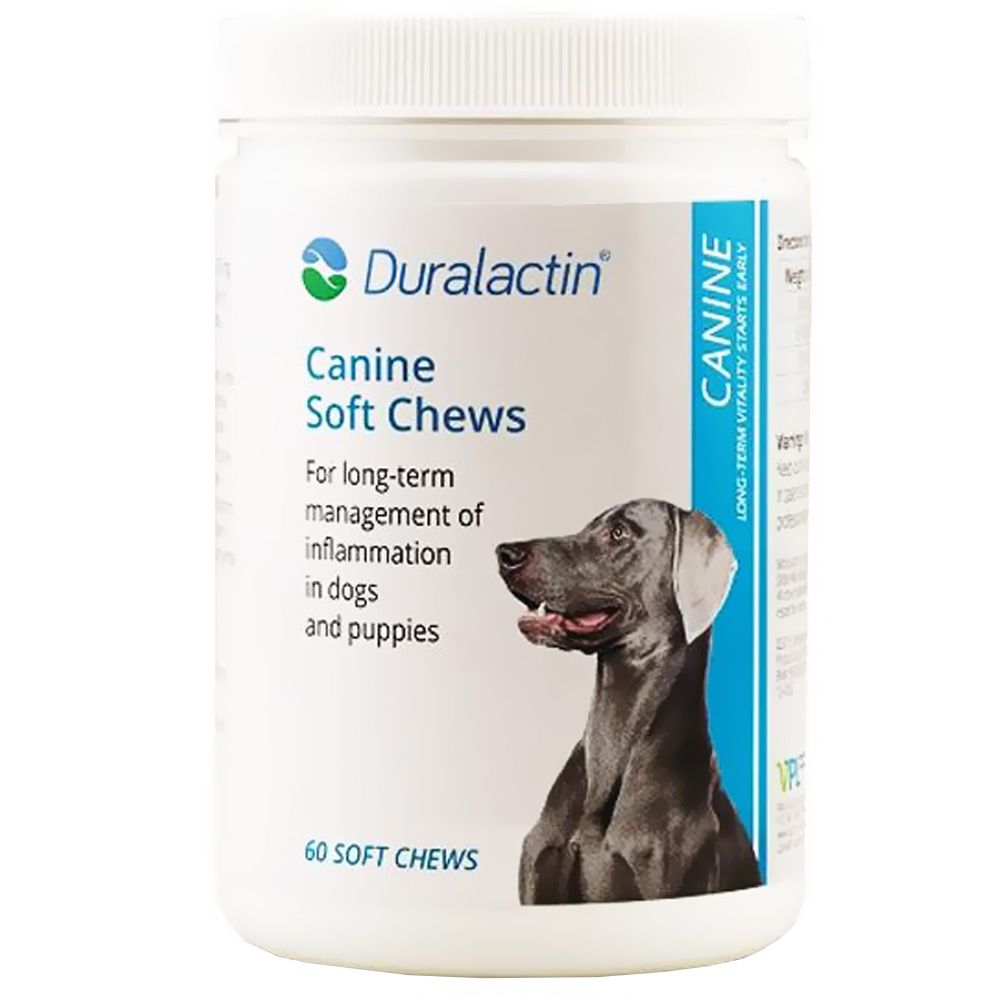 Duralactin Canine Soft Chews (60 count) | On Sale | EntirelyPets Rx