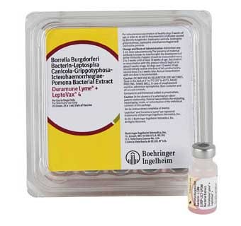 Duramune Lyme + LeptoVax4/C (25 Doses) | On Sale | EntirelyPets Rx