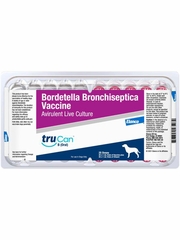 BronchiShield | On Sale | EntirelyPets Rx