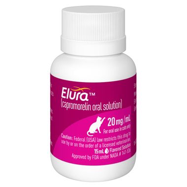 Elura (capromorelin oral solution) 20 mg/ml (15 ml) for Cats | On Sale ...