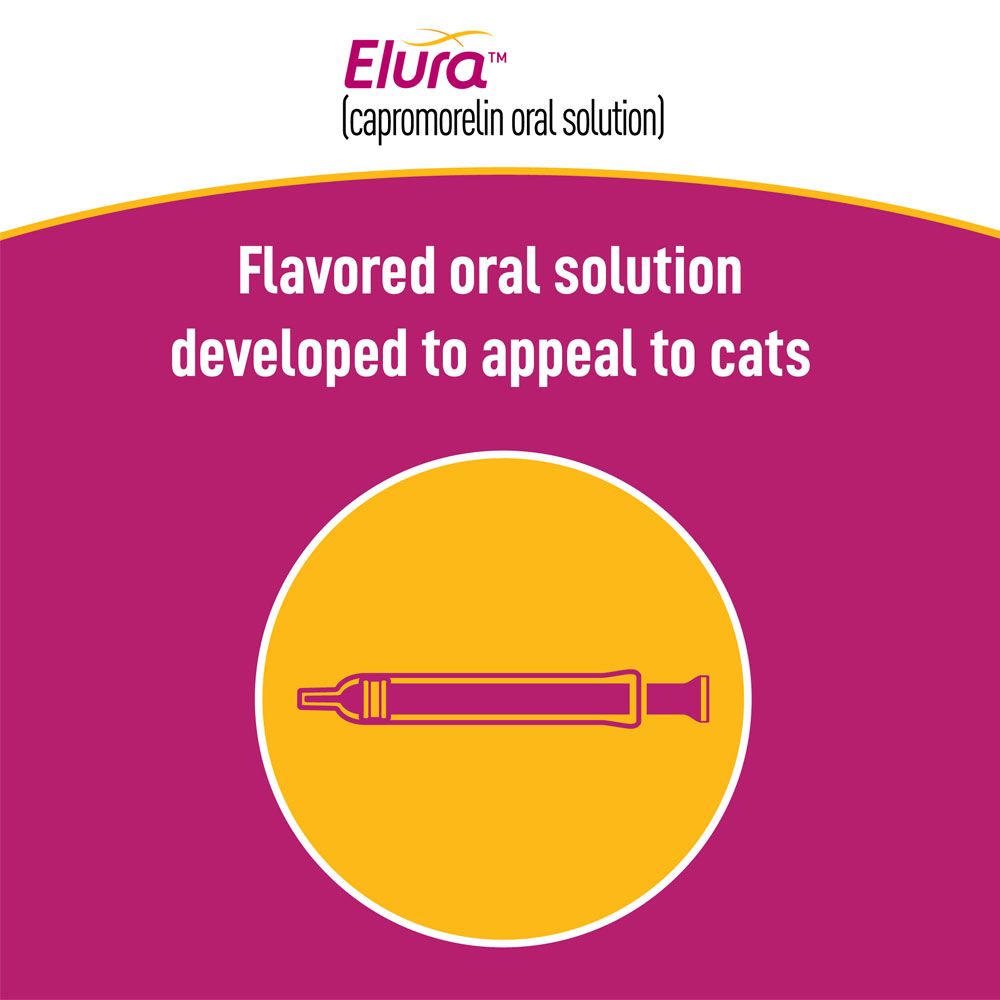 Elura (capromorelin oral solution) 20 mg/ml (15 ml) for Cats | On Sale ...