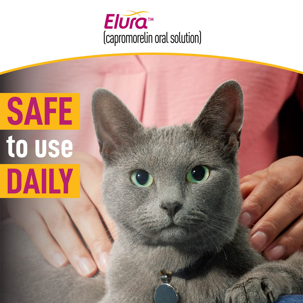 Elura (capromorelin oral solution) 20 mg/ml (15 ml) for Cats | On Sale | EntirelyPets Rx