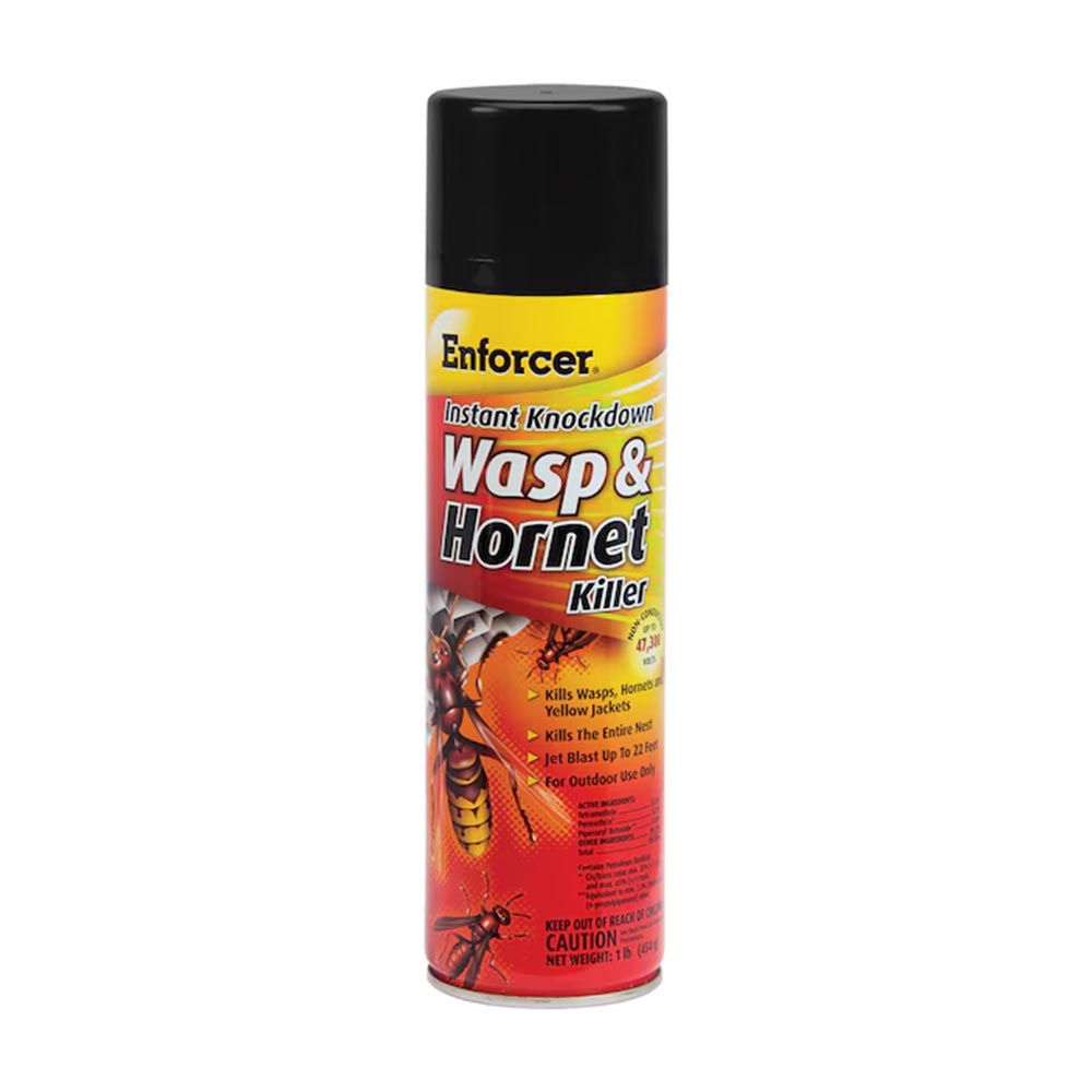 Enforcer Instant Knockdown Wasp & Hornet Killer Aerosol Spray (16 oz ...