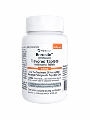 Enrosite (Enrofloxacin) Flavored Tablets | On Sale | EntirelyPets Rx
