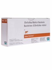 Equine Potomavac + Imrab Vaccine | On Sale | EntirelyPets Rx