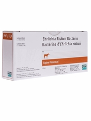 Equine Potomavac + Imrab Vaccine | On Sale | EntirelyPets Rx