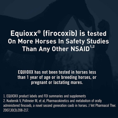 Equioxx Tablets, 180 Ct. | Free Shipping | EntirelyPets Rx