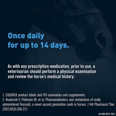 Equioxx Tablets, 180 Ct. | Free Shipping | EntirelyPets Rx