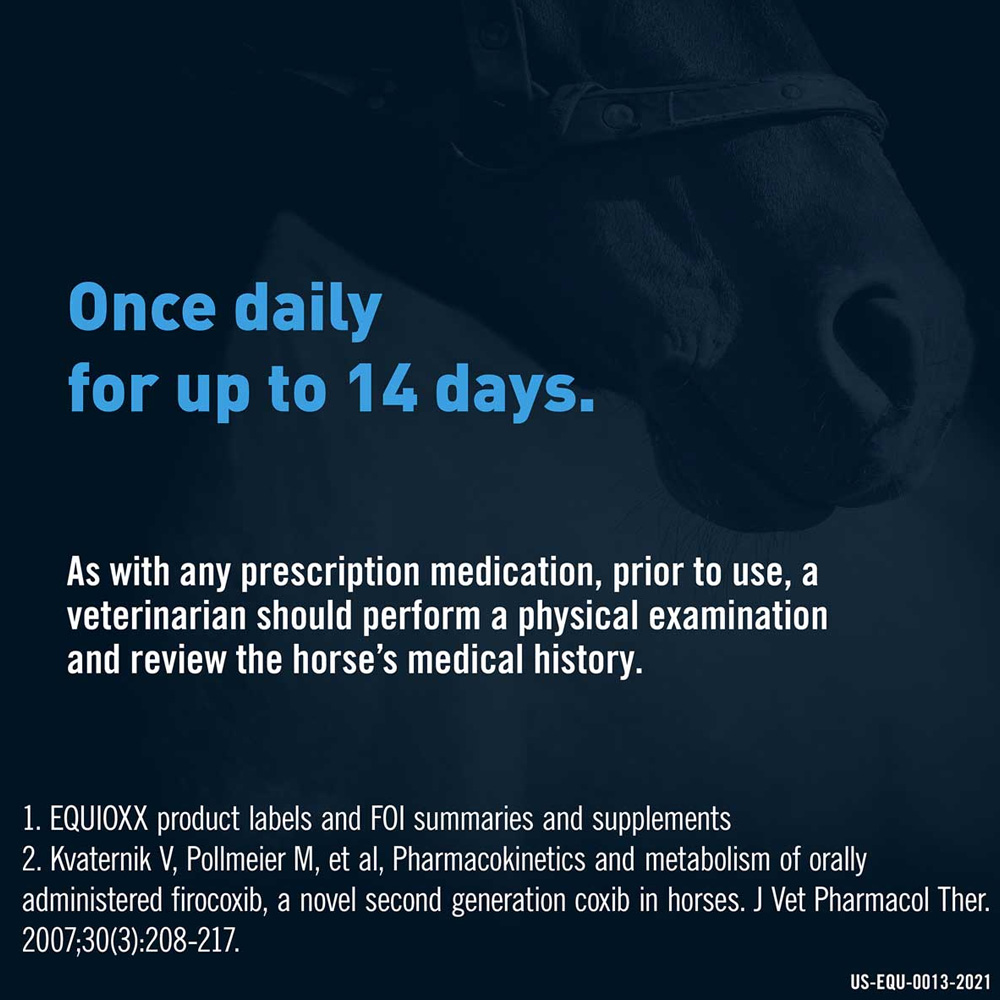 Equioxx Tablets, 180 Ct. | Free Shipping | EntirelyPets Rx