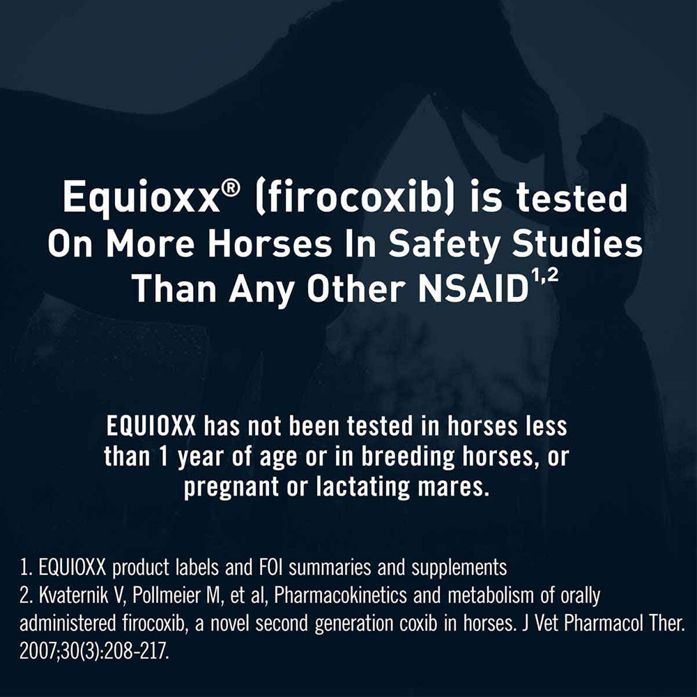 Equioxx Tablets, 60 Ct. | Free Shipping | EntirelyPets Rx