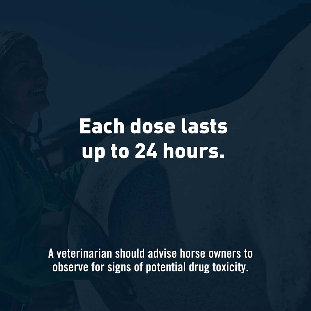 Equioxx Tablets, 60 Ct. | Free Shipping | EntirelyPets Rx