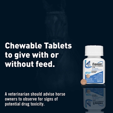 Equioxx Tablets, 60 Ct. | Free Shipping | EntirelyPets Rx