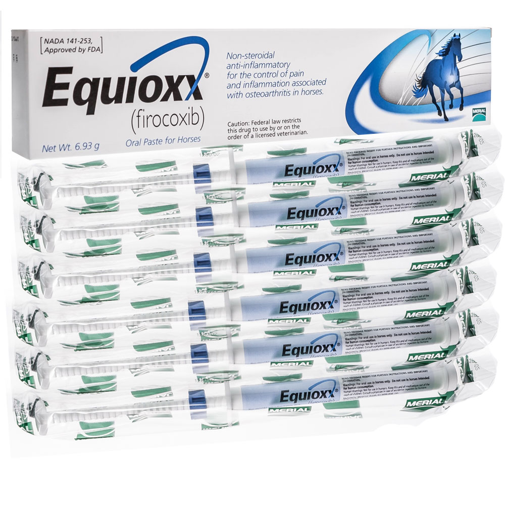 Equioxx Oral Paste, 6 Pack | On Sale | EntirelyPets Rx