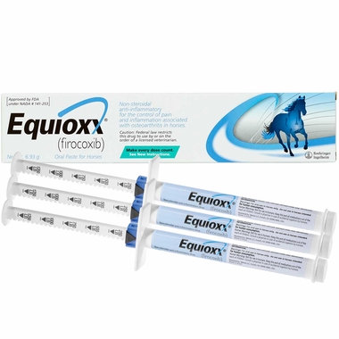 Equioxx Oral Paste, 3 Pack | On Sale | EntirelyPets Rx