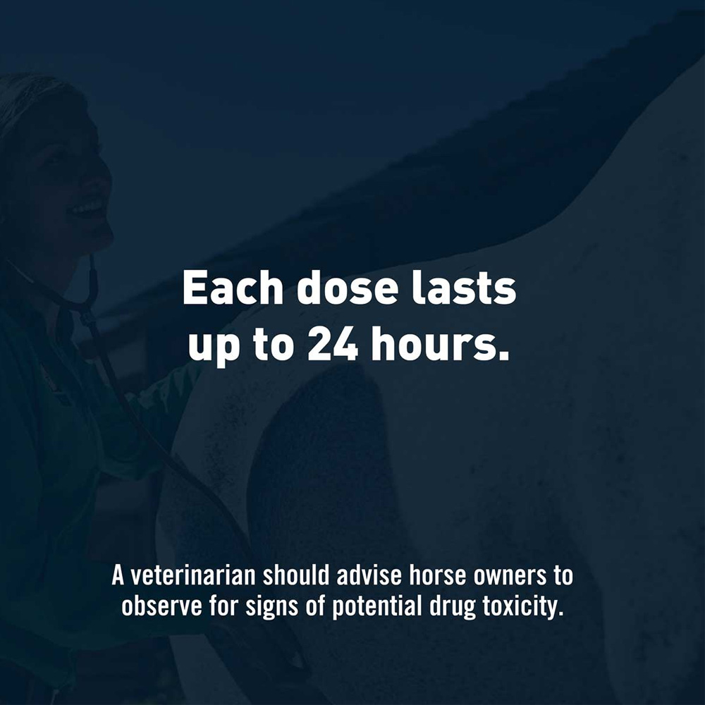 Equioxx Oral Paste, 6 Pack | On Sale | EntirelyPets Rx