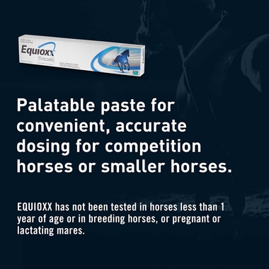 Equioxx Oral Paste, 6 Pack | On Sale | EntirelyPets Rx