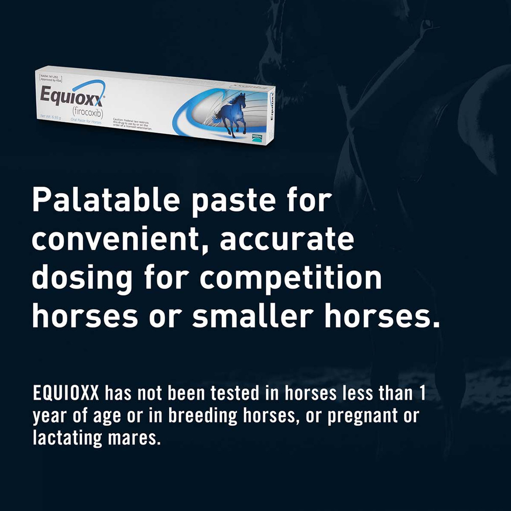 Equioxx Oral Paste, 6 Pack | On Sale | EntirelyPets Rx