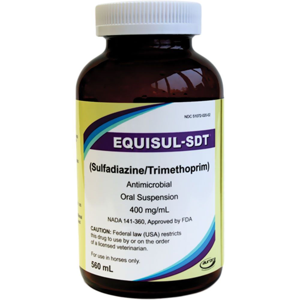 Equisul-SDT - 400mg 560 mL | On Sale | EntirelyPets Rx