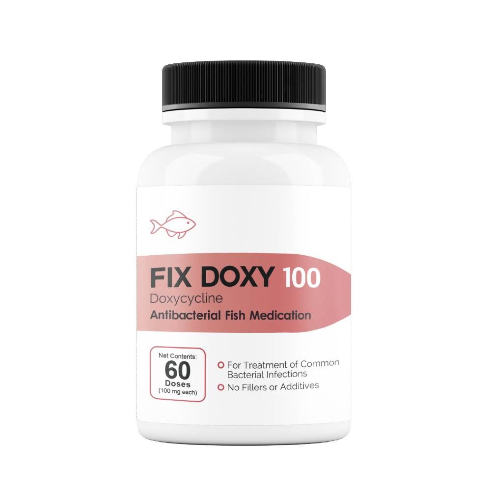 Fix Doxy 100 (Doxycycline) 100mg - 60 Capsules | On Sale | EntirelyPets Rx
