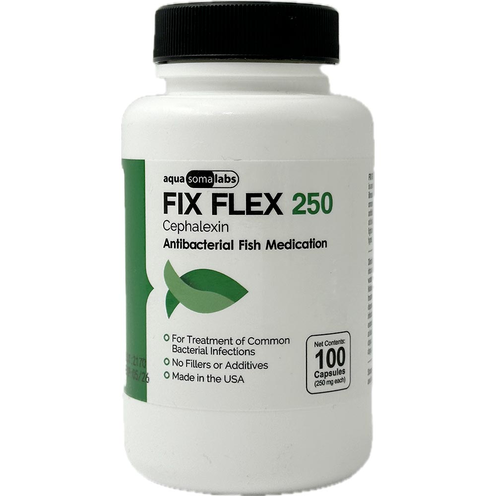 Fix Flex 250 (Cephalexin) 250mg - 100 Capsules | On Sale | EntirelyPets Rx