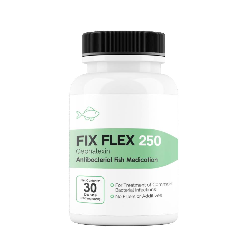Fix Flex 250 (Cephalexin) 250mg - 30 Capsules | On Sale | EntirelyPets Rx