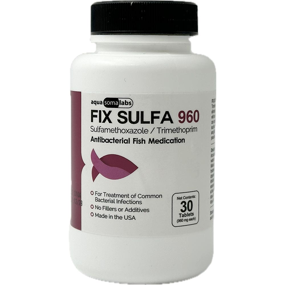 Fix Sulfa 960 (Sulfamethoxazole/Trimethoprim) 960mg - 30 Capsules | On ...