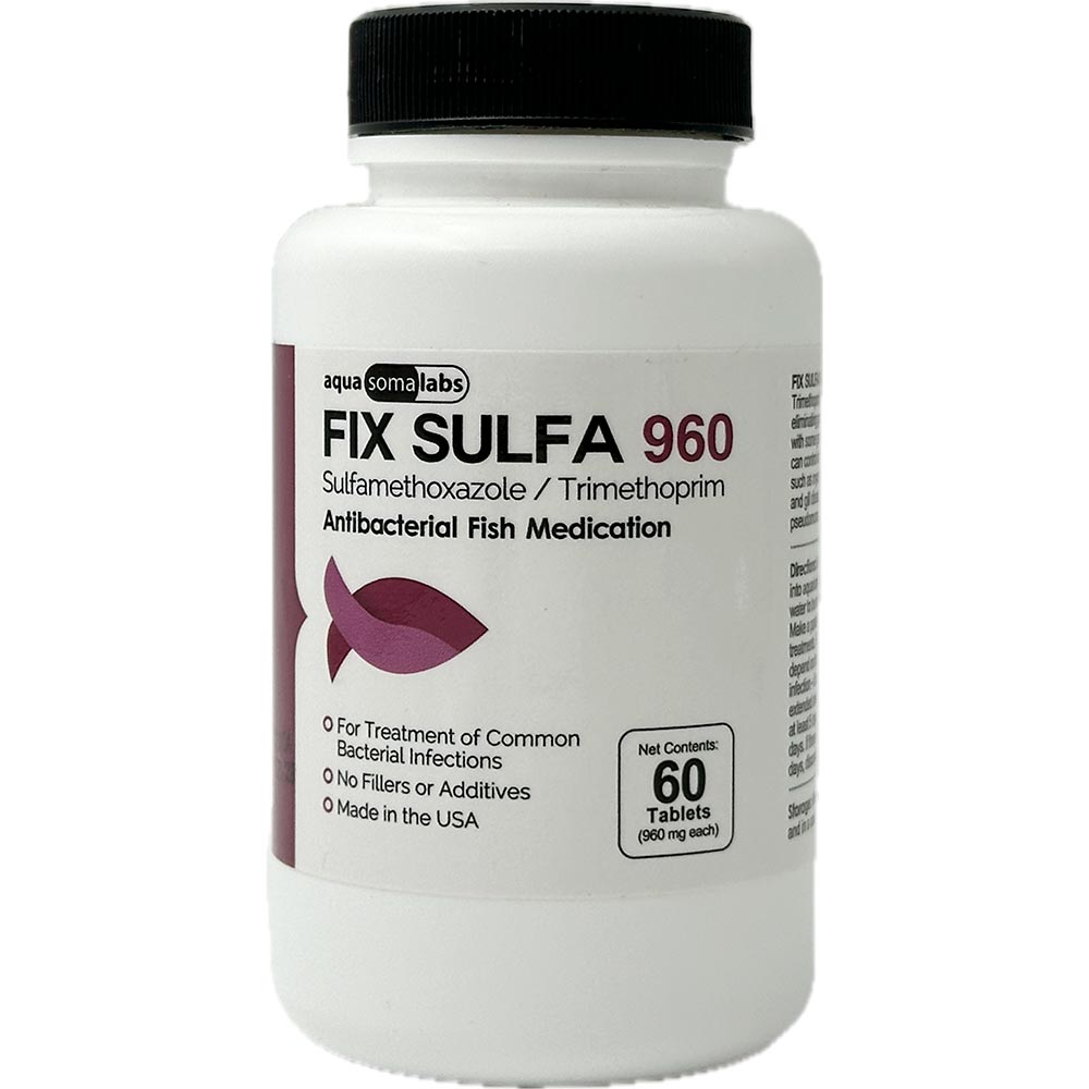 Fix Sulfa 960 (Sulfamethoxazole/Trimethoprim) 960mg - 60 Tablets | On ...
