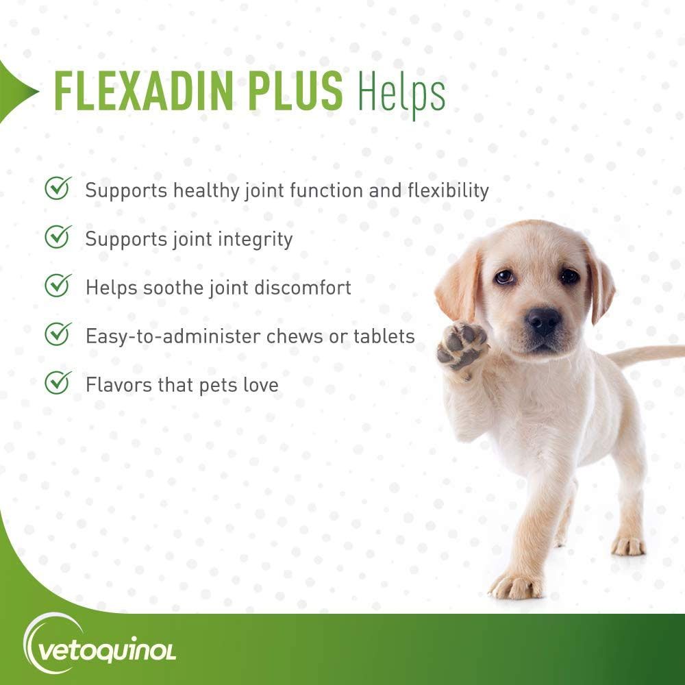 Flexadin Plus for Large Dogs (90 chews) | On Sale | EntirelyPets Rx